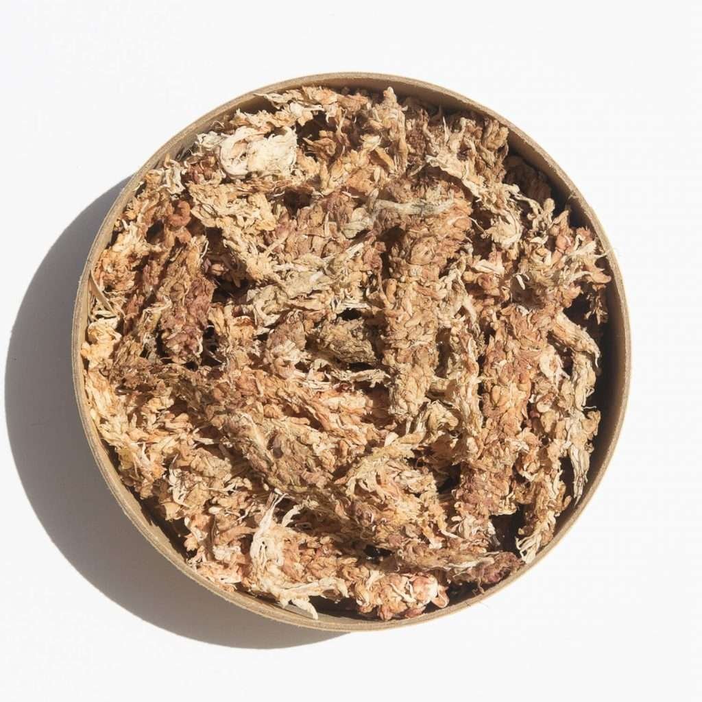 5 Star CHILEAN Sphagnum Moss - 5 Star Sphagnum Moss