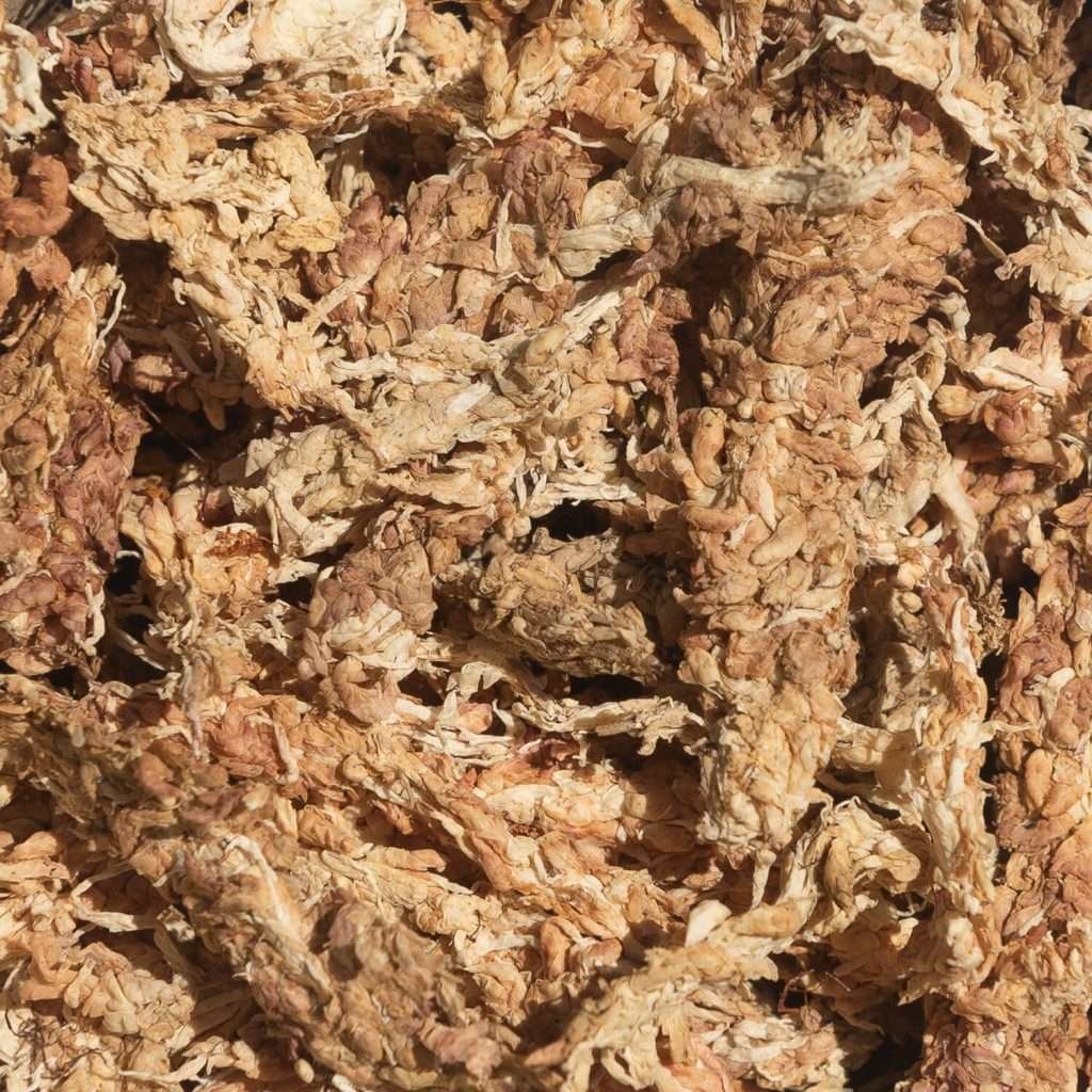 5 Star CHILEAN Sphagnum Moss - 5 Star Sphagnum Moss