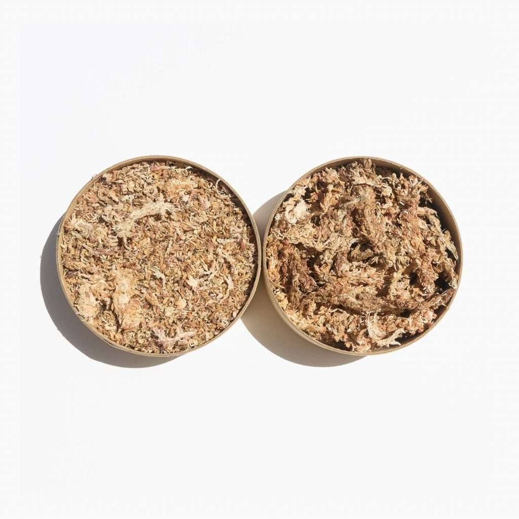 5 Star CHILEAN Sphagnum Moss - 5 Star Sphagnum Moss